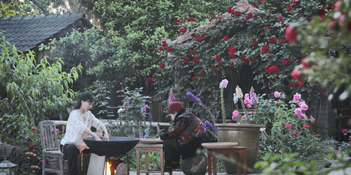 Li Ziqi, come back at the right time! - iMedia