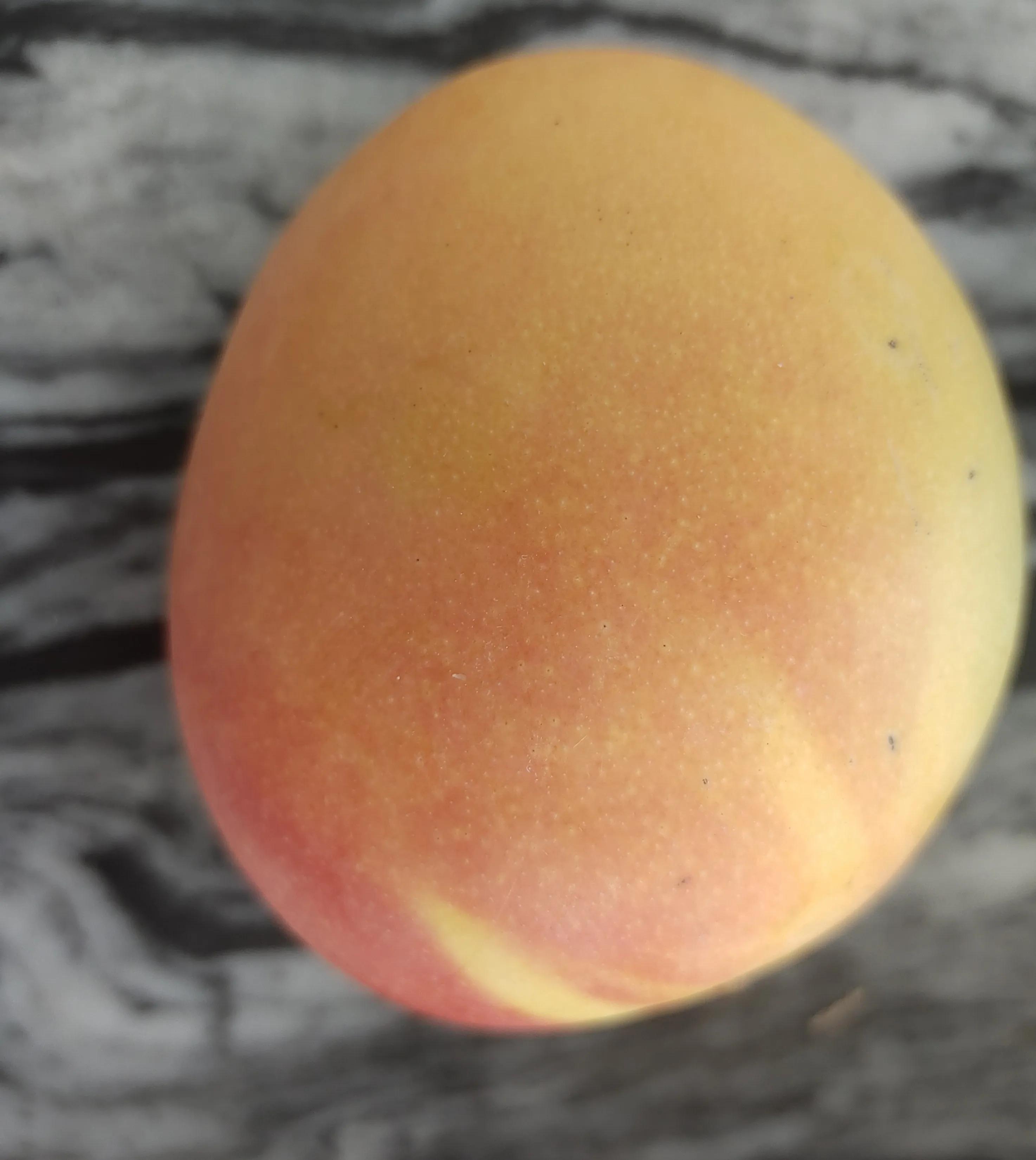 First time eating apple mango - iNEWS