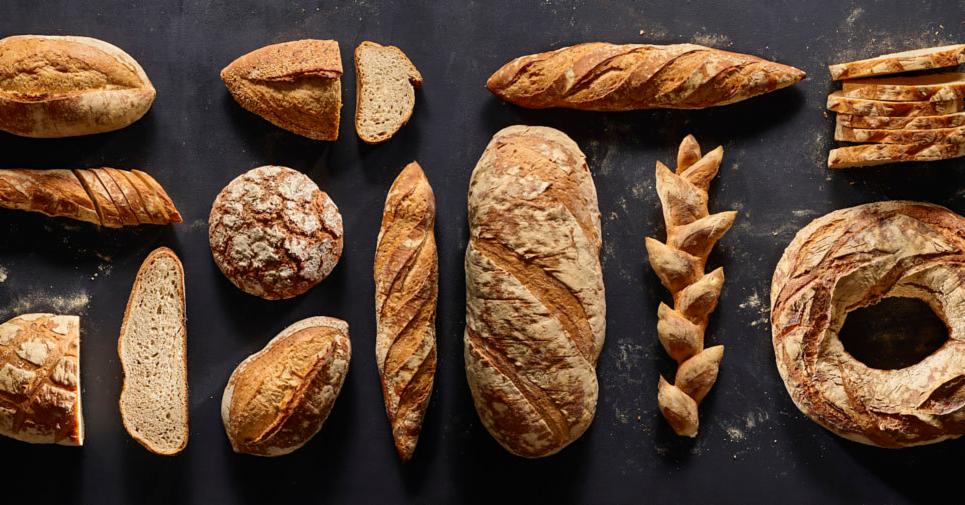 The 30,000-year-old food: bread - iNEWS