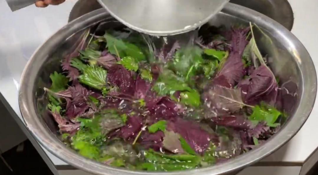Do you know how to store basil so that it will not go bad for a year ...