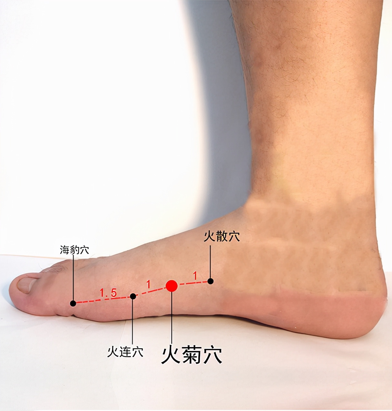 TCM acupuncture circulatory system prescription 2 - iNEWS