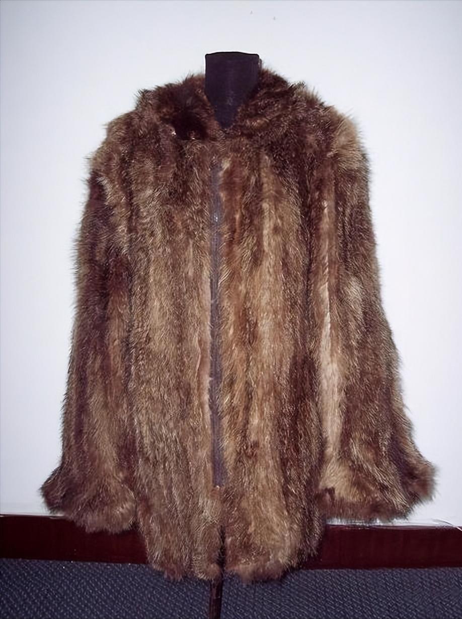 Fur trade and clothing in South Africa in the 17th century - iNEWS