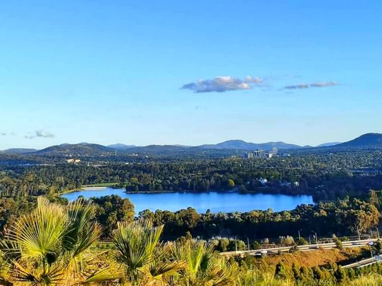 Forest 100 – National Botanic Gardens, Canberra - iNEWS