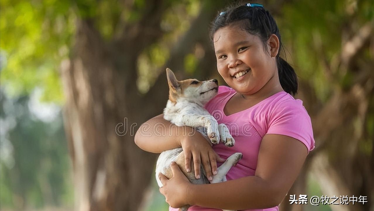 Demystifying the perfect body shape in men's minds: is it thin or fat ...