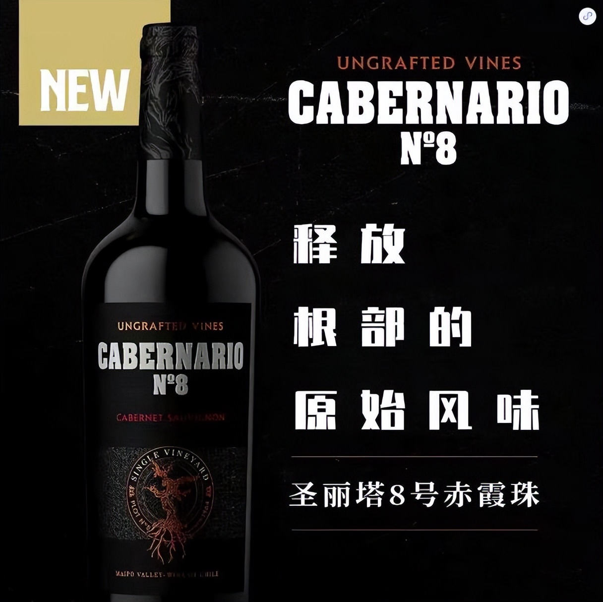 Santa Rita Winery No. 8 Cabernet Sauvignon, showing the charm of a ...