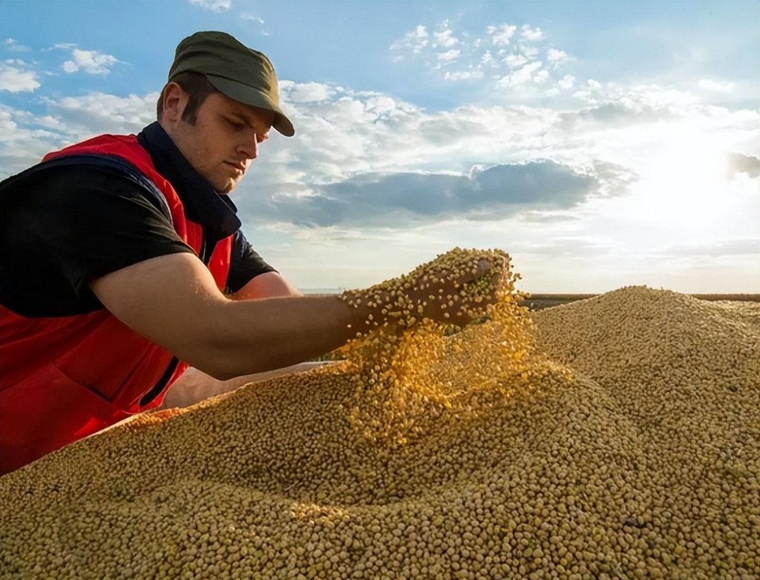 Pay off debt with soybeans? We accelerate the liquidation of U.S. debt ...