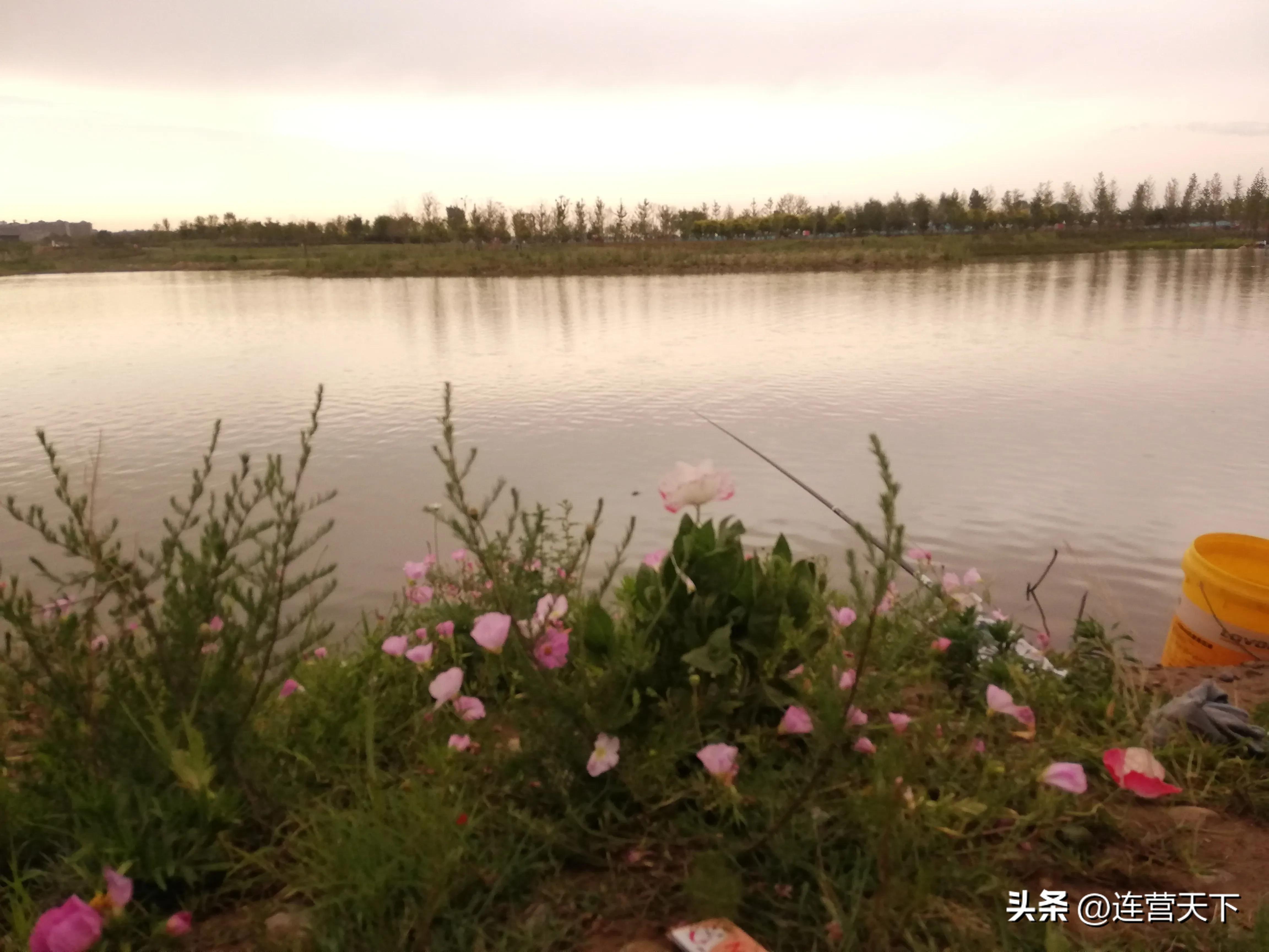 Hebi City Poetry Title "Falling Flowers" - iMedia