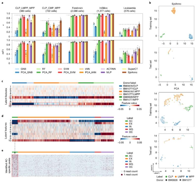 Tsinghua Supervised Bayesian Embedding for Cell Type Annotation of ...