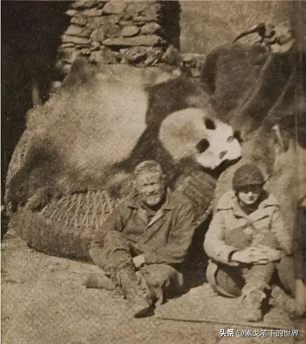 Wearing a dog leash and being bitten by a dog, the national treasure ...