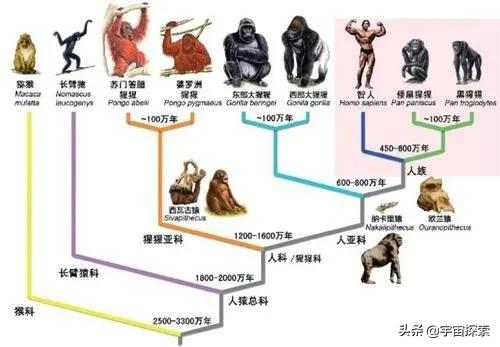 How was the first man born?Where do humans come from? - iNEWS