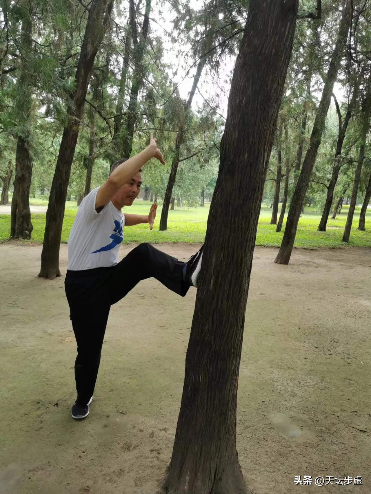 Master the mysteries of Neijiaquan: just practice three strokes! - iMedia