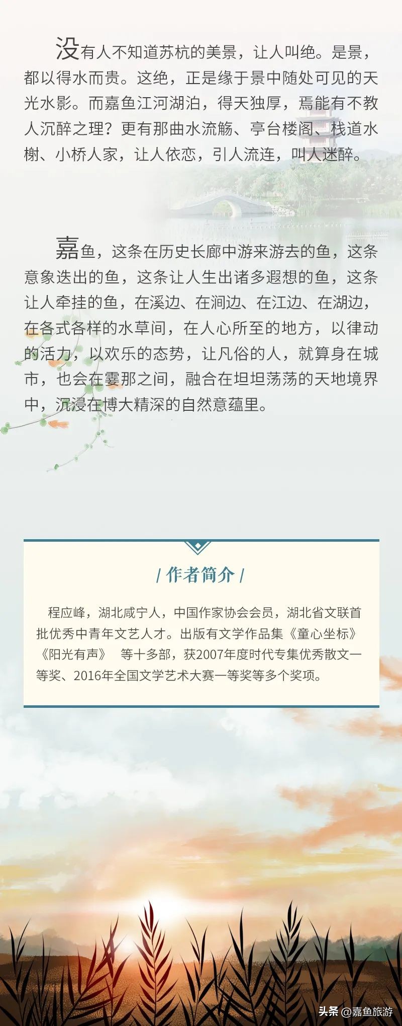 There are chia fish in the south of the waves - iMedia