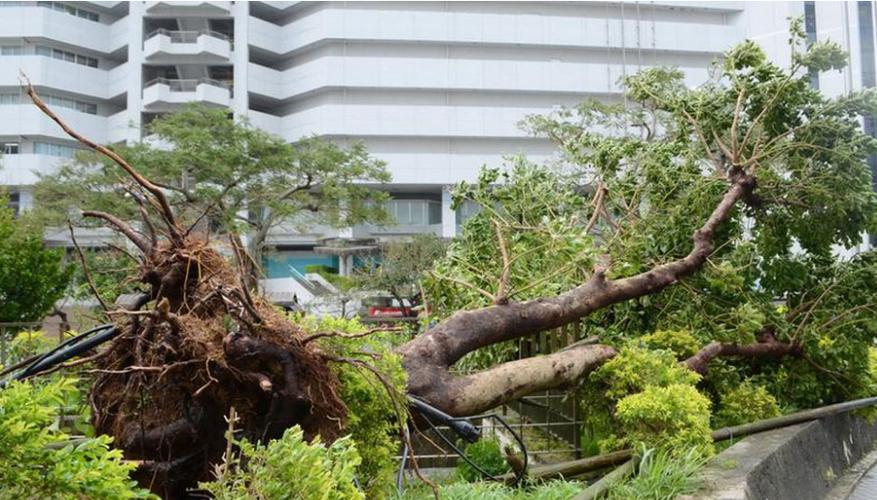 The U.S. military base in Guam was hit hard by the typhoon, and ...