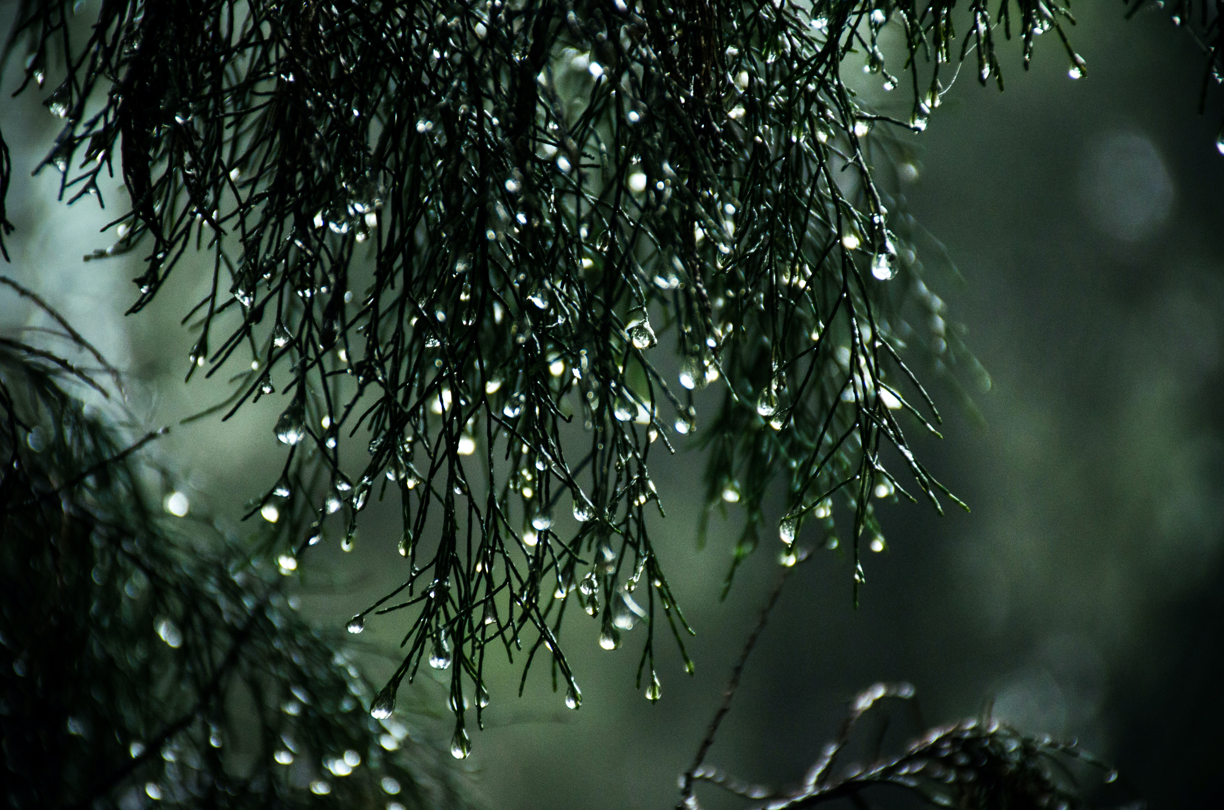 The wonderful experience of living alone: in the white noise, restore ...