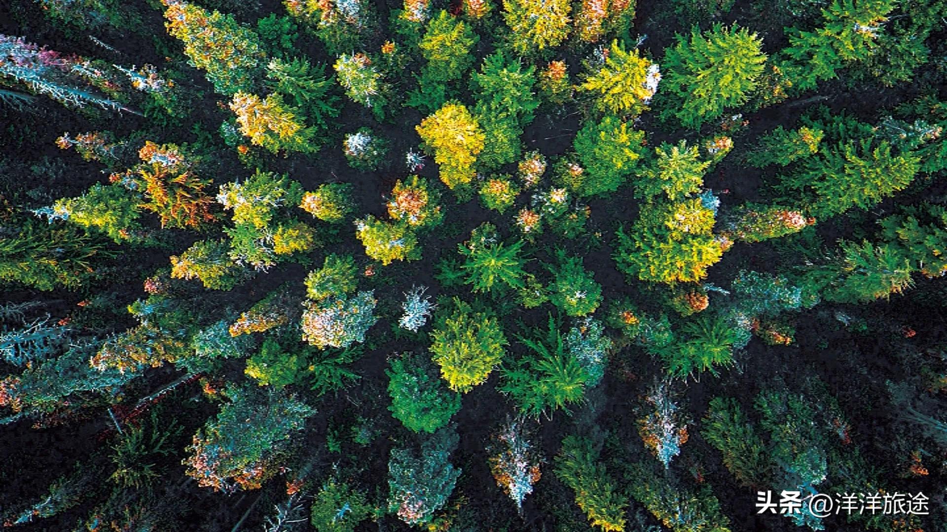 UAV aerial photography strategy: the secret of becoming a professional ...