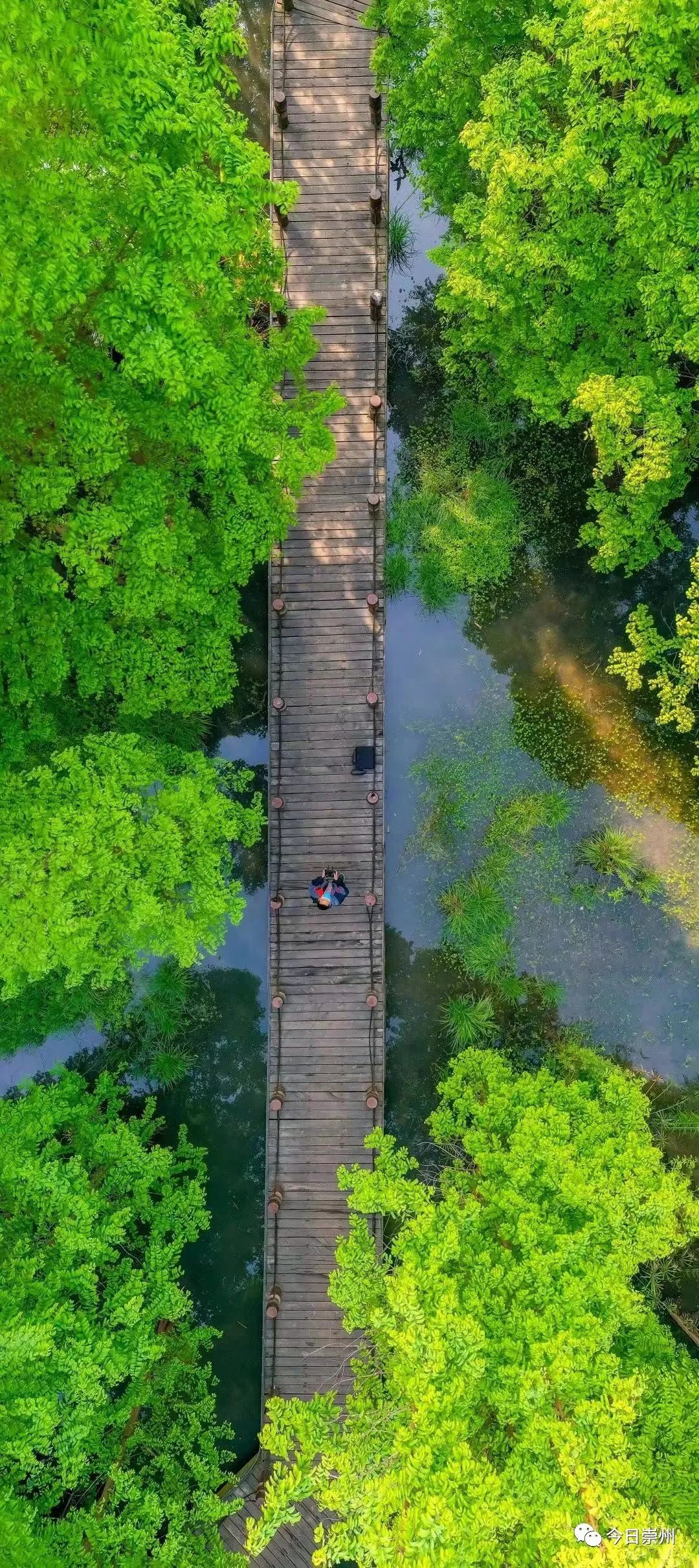 Come to Chongzhou to visit the green road and visit the wetlands, feel ...