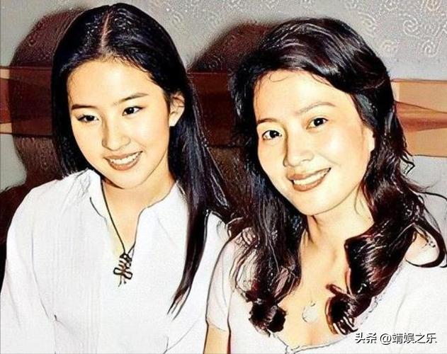 "Fairy Mother" Liu Xiaoli: Two marriages and two divorces, single so ...