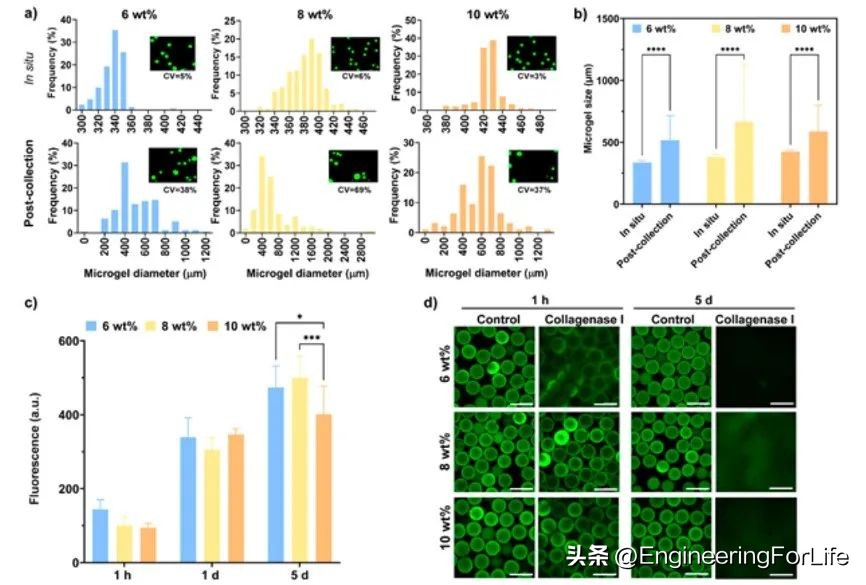 High-throughput, low-cost, fast and easy fabrication of biodegradable ...