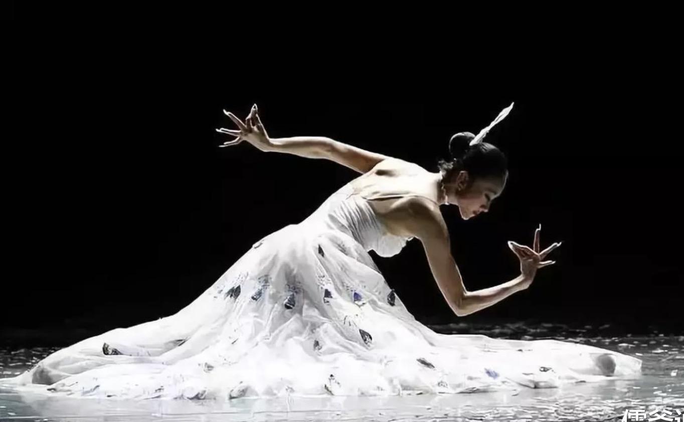 Yang Liping's peacock dance "Yin Yang Double Cultivation" caused ...