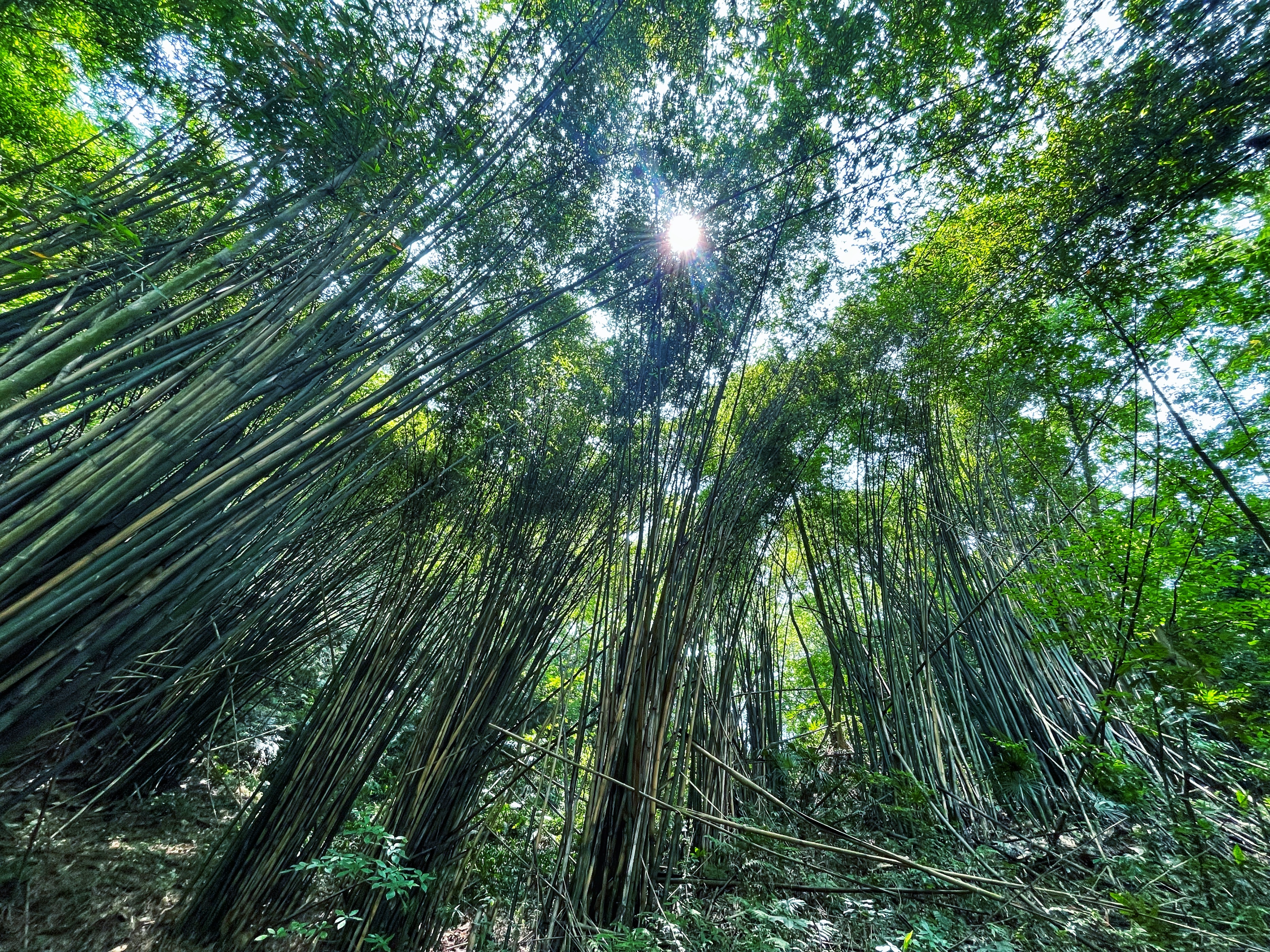 Travel Sharing——Fengqi Mountain - iMedia