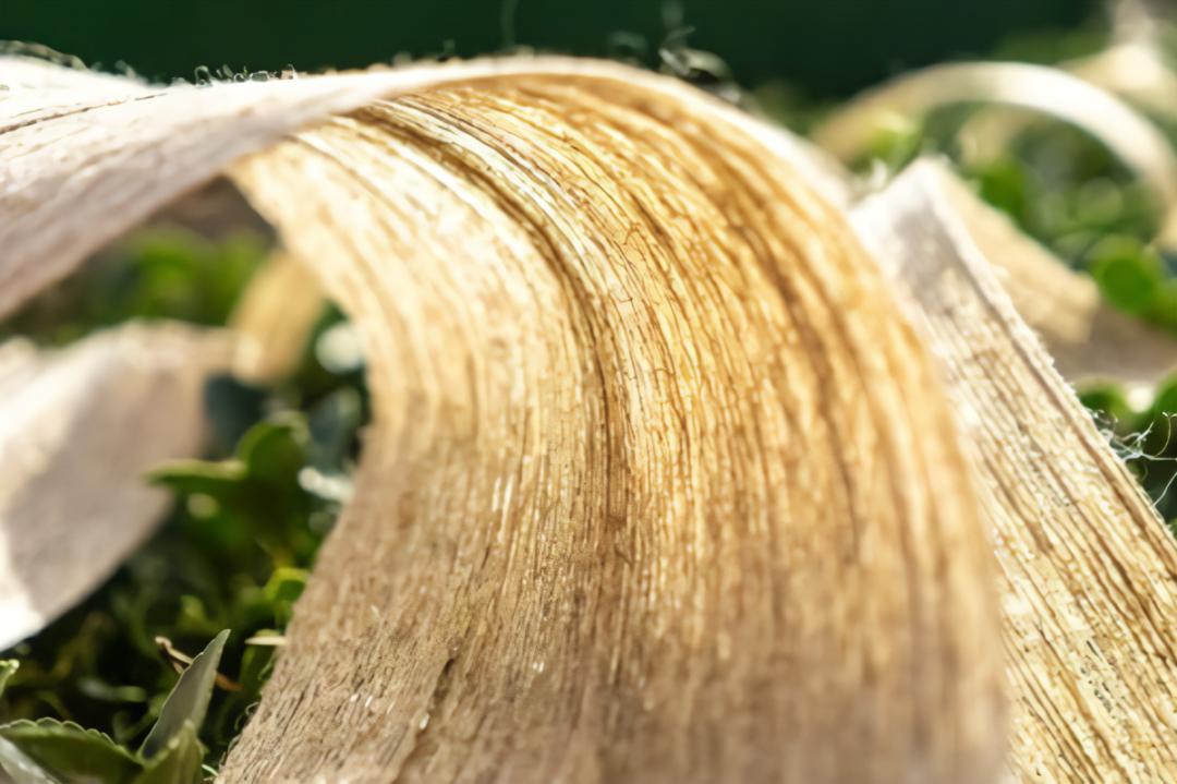Plant fibers and their composite materials have broad application ...