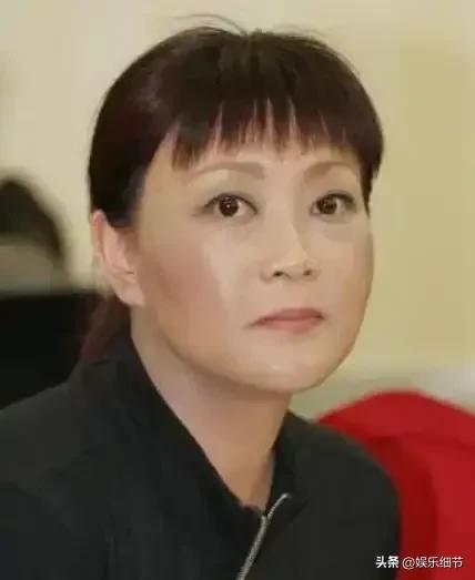 "Queen of Pieces" Yang Lei: 19 years after divorcing Dai Zhicheng, how ...