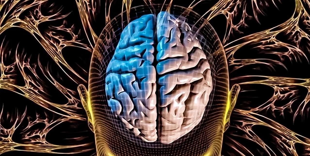 Can the human brain still evolve? What is the 90% of the undeveloped ...