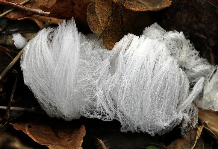 A rare "ice butterfly" appeared in Shanxi, which has been reported by ...