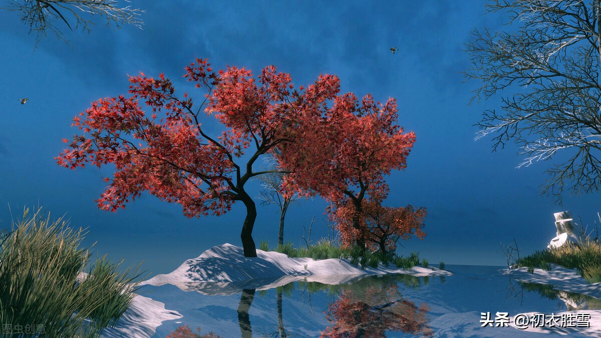 Five beautiful poems by Dan Feng: Diligently reporting the meaning of ...