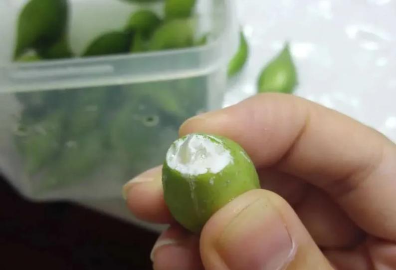 A kind of plant in the countryside, known as ground shoot melon, with ...