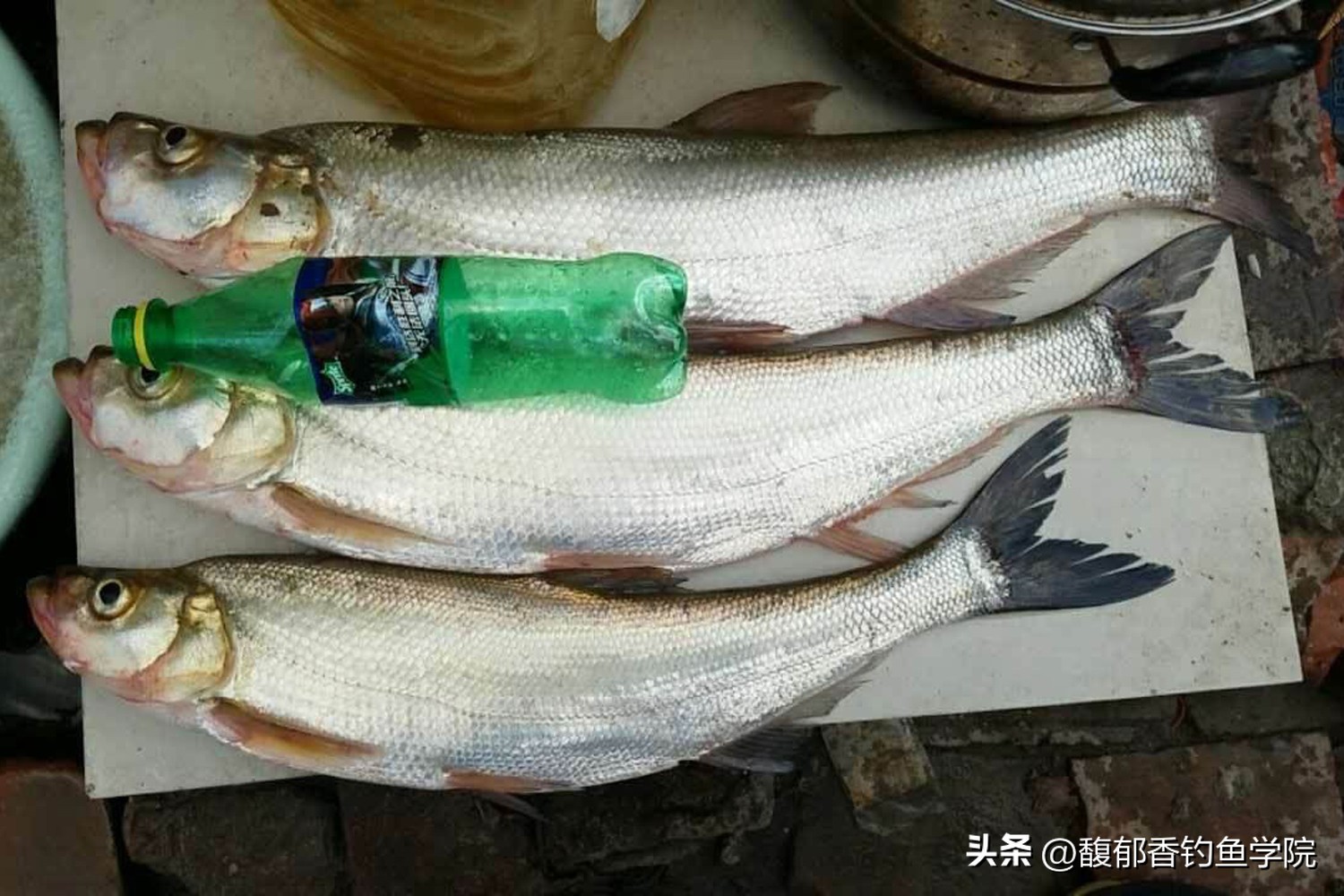 Three ways to close both sides of the mouth when fishing for a cocked ...