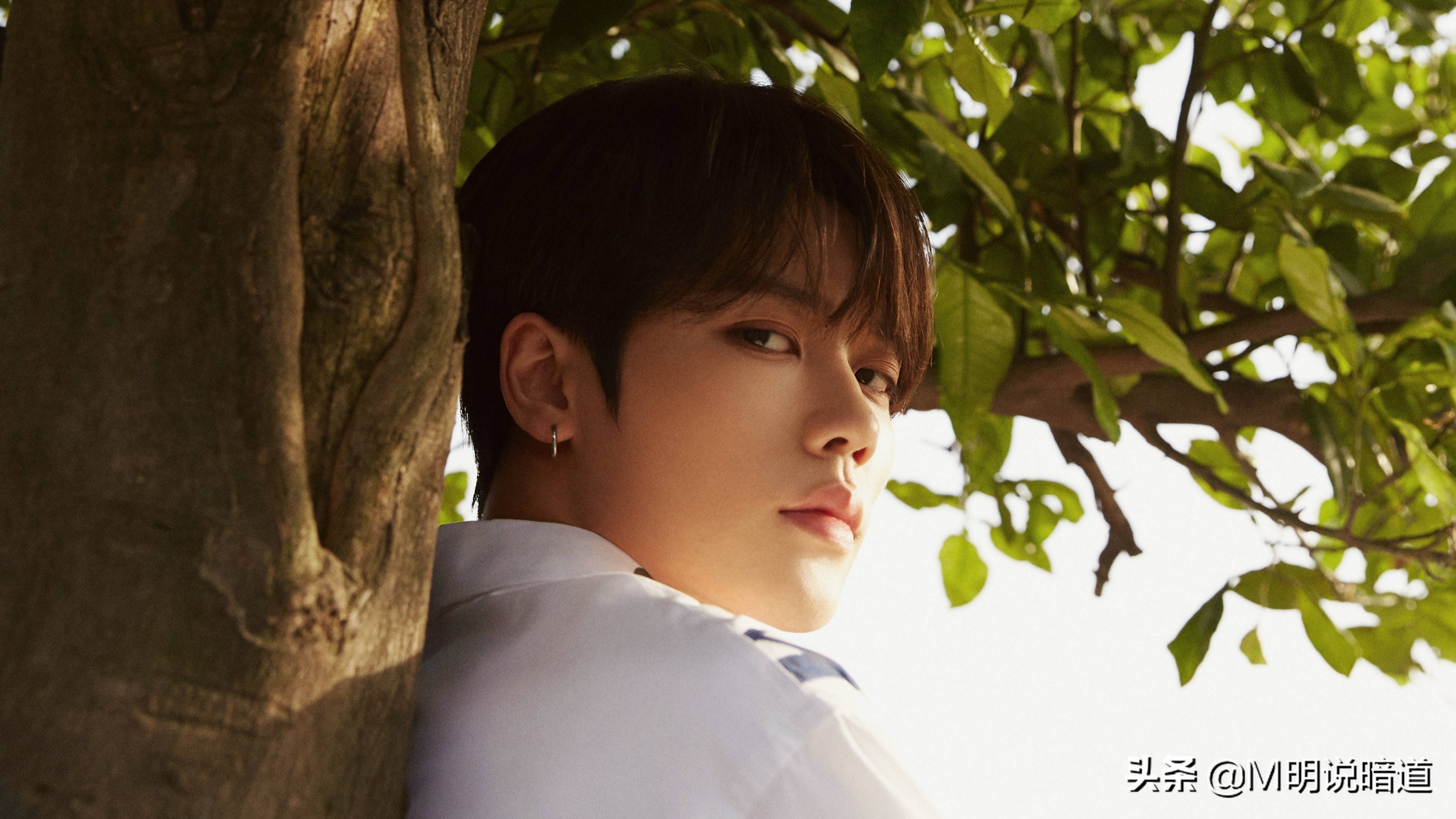 Lin Yanjun's "Return Trilogy" has been assembled, and the third song ...