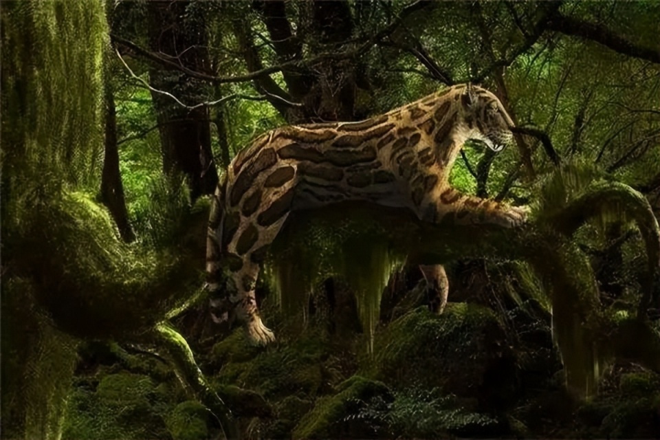 There were no human beings on the earth, so how did the first man ...