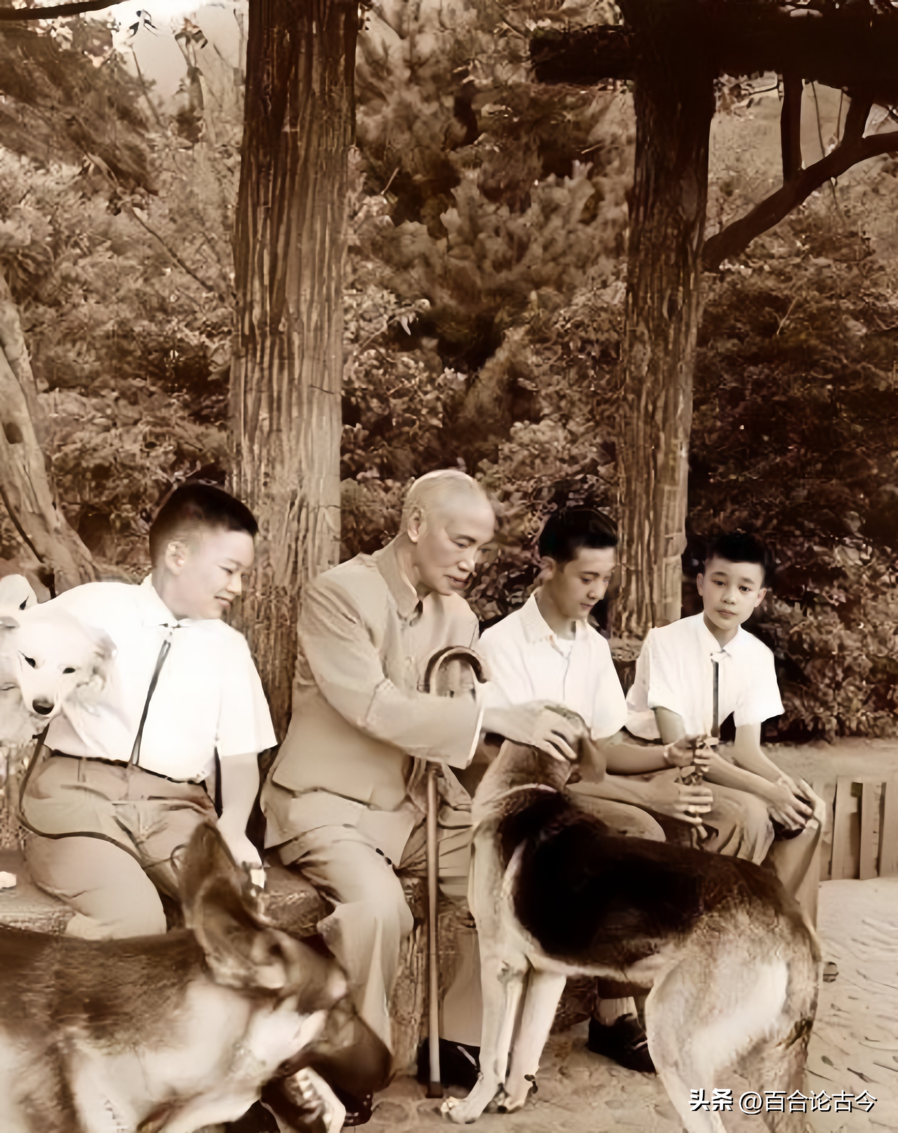After Jiang Xiaoyong suffered from cancer, he returned to his hometown to worship his ancestors ...