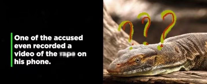 4 men in India collectively sexually assaulted lizards and photographed ...
