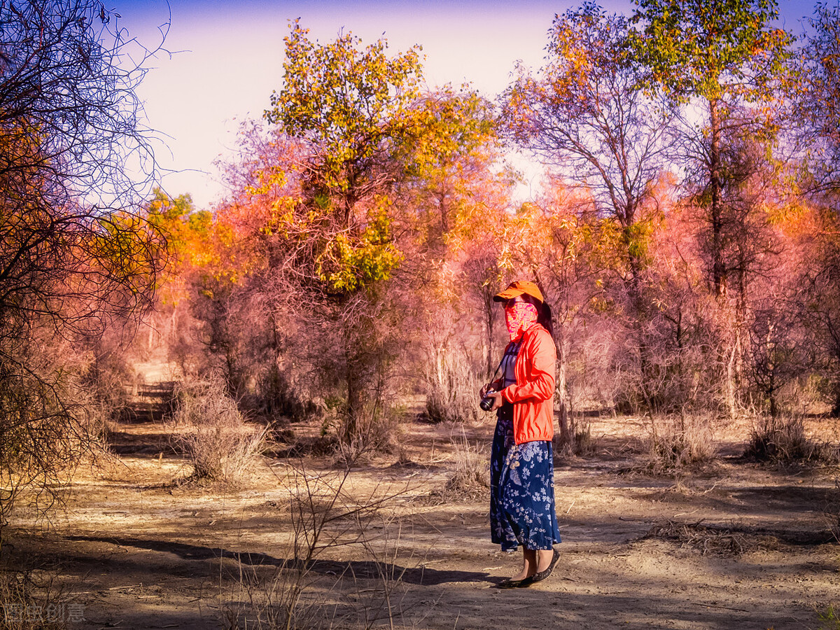 Song Fenghua's Poems: Chanting Populus euphratica, Lin Shenshan ...