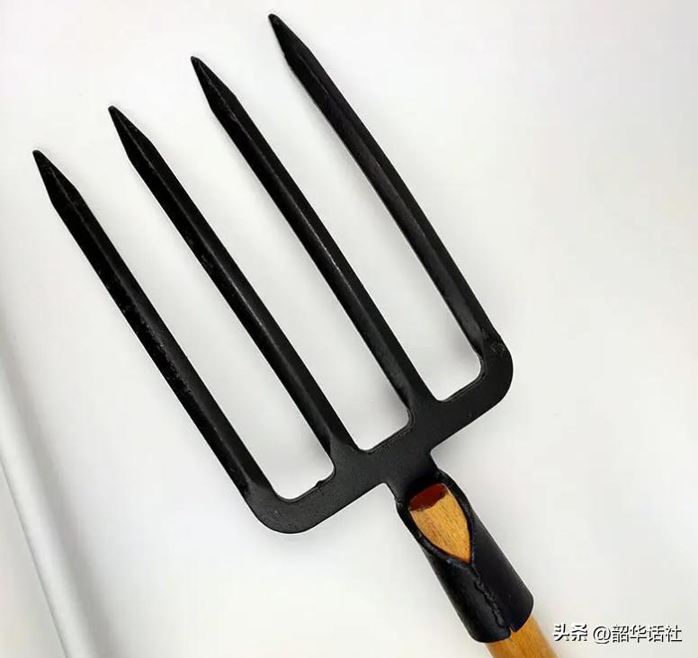 Fork Blooms: The Evolution and Glory of Fork - iNEWS