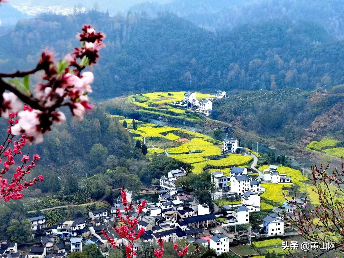 Flying through Huizhou 161: For Shitan's splendid spring - iMedia