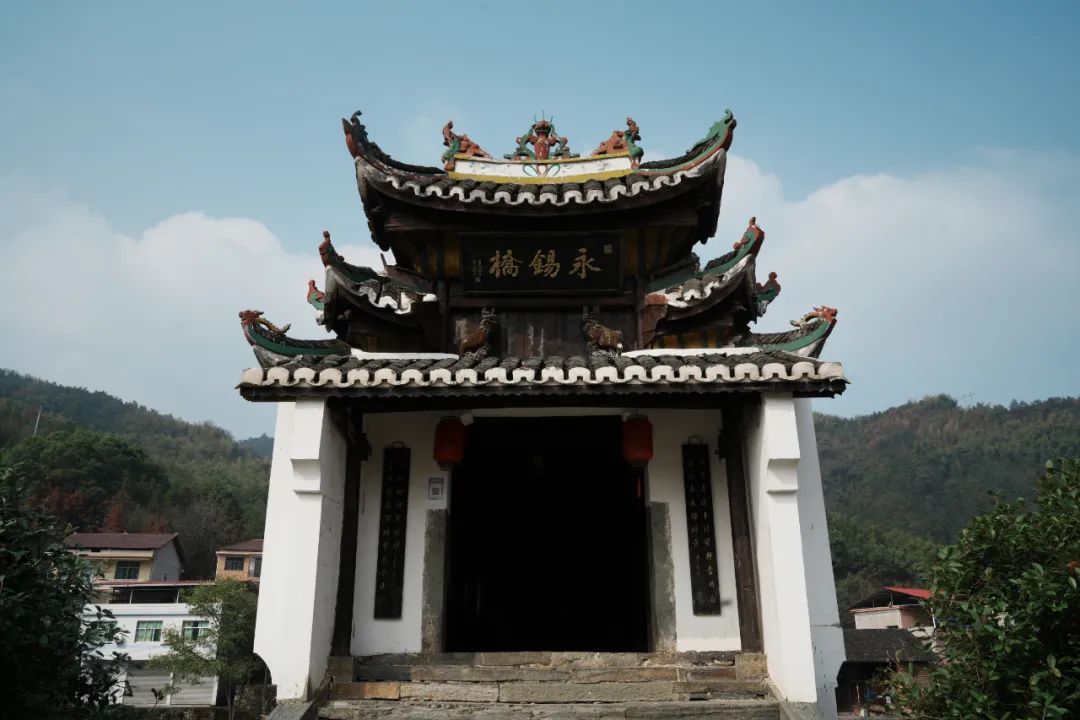 Tour Anhua, drink black tea, enjoy a healthy tea life - iNEWS