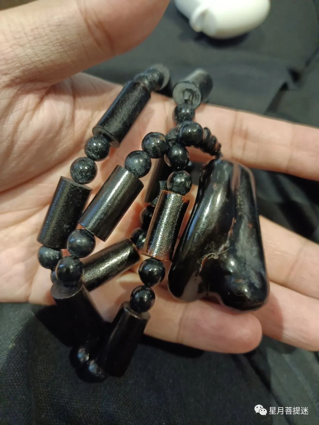 What is sea willow?What is the reef-building coral "sea vine"? - iNEWS