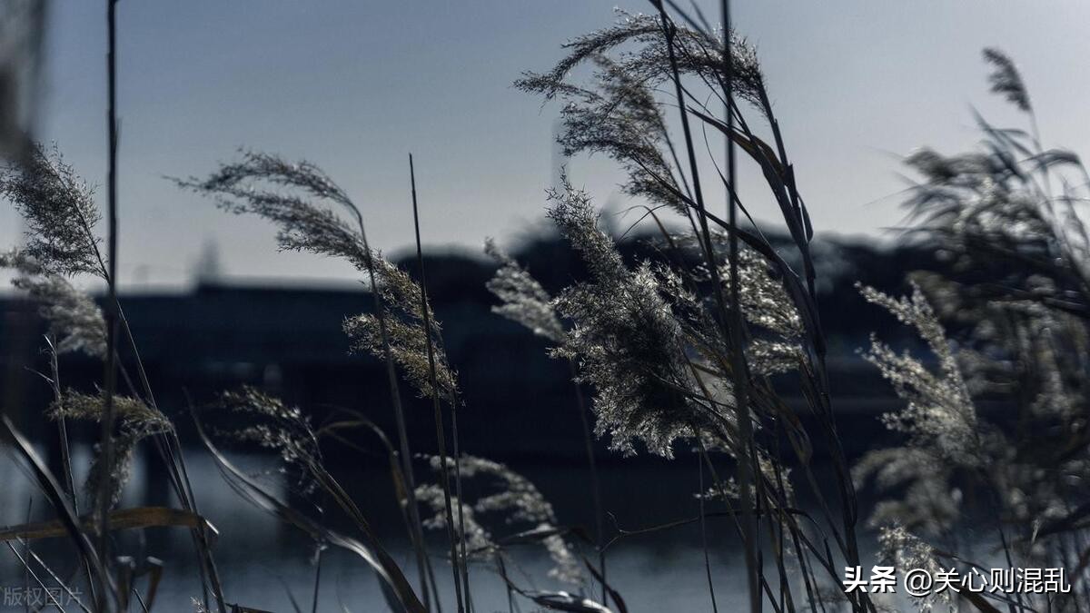 The Story of Jing Ke's Assassination of Qin Dynasty: The Last Struggle ...