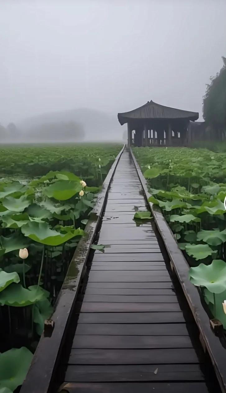 "Write something in the rest of the day" - iNEWS