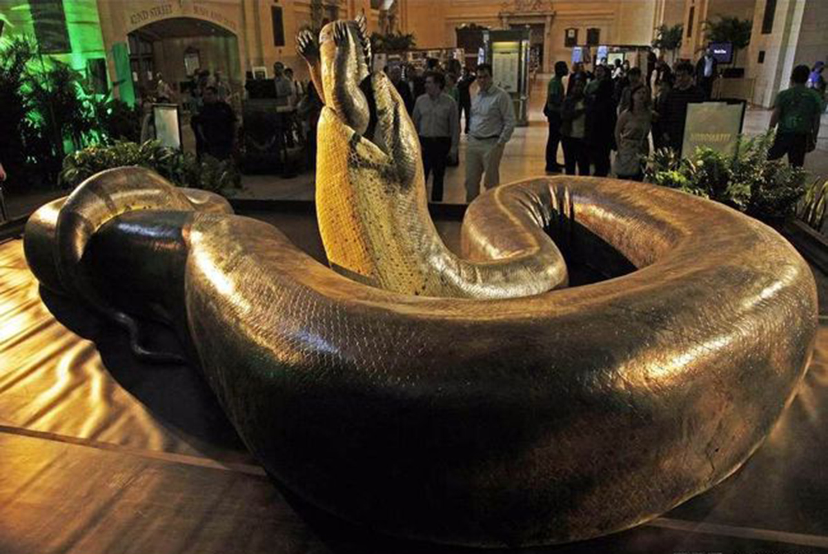 How did snakes evolve? Why do snakes lose their legs and walk on their ...