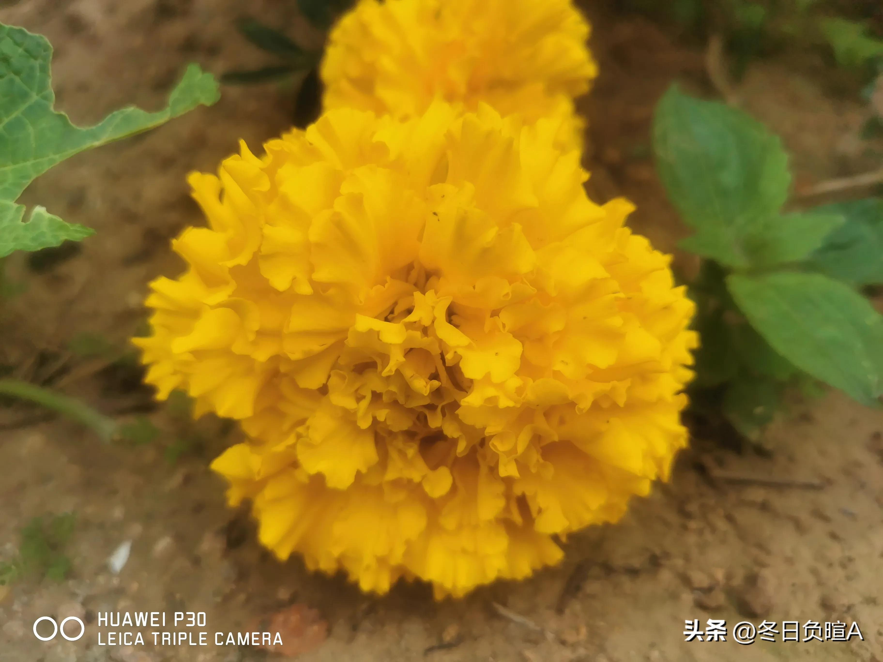 100 ancient poems about life - iNEWS