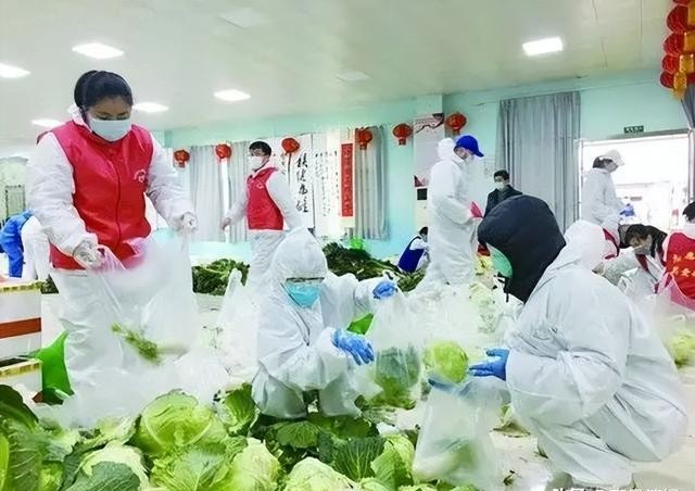 Han Hong was reported by her real name for embezzling donations and ...