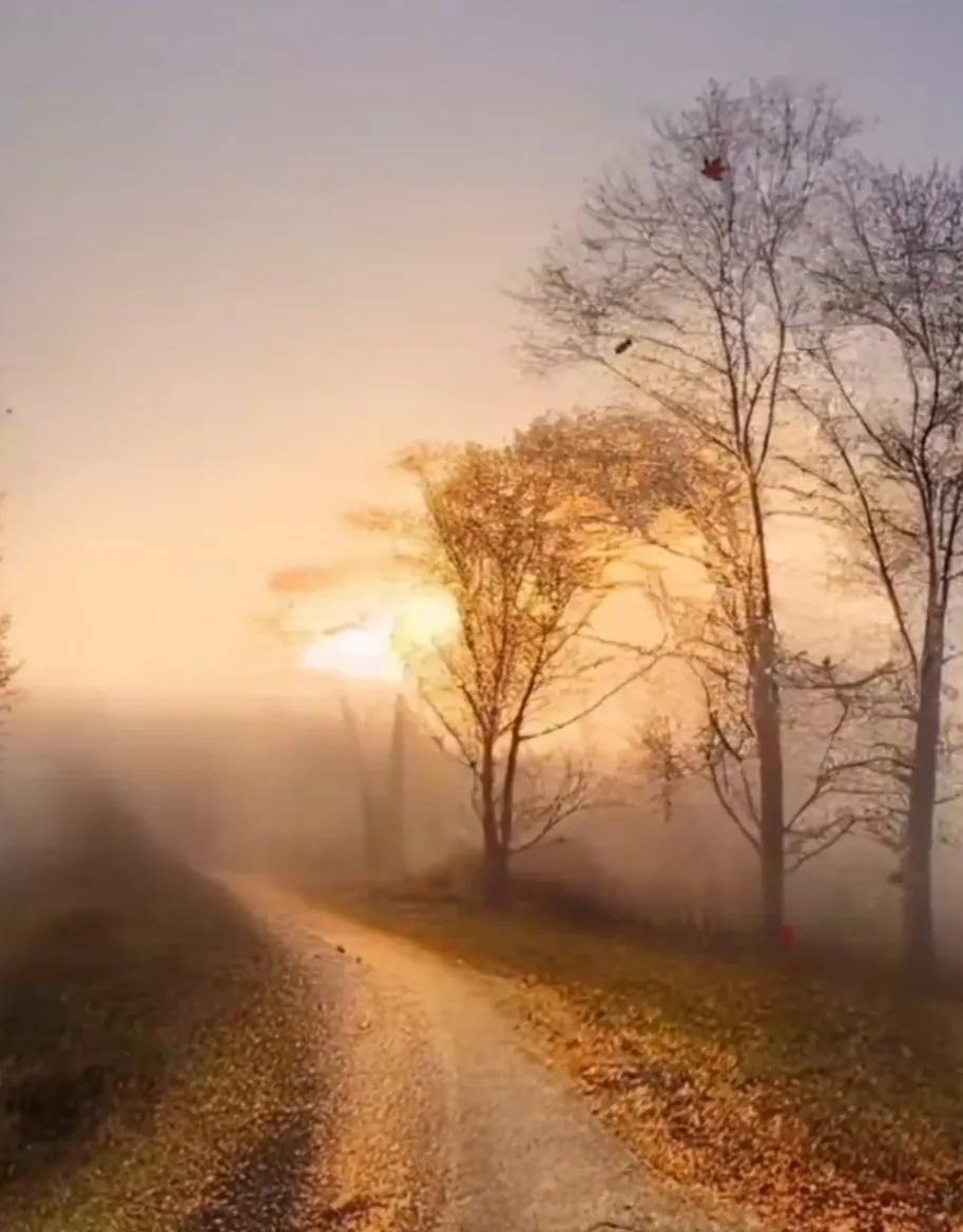 The most beautiful color of life - iNEWS