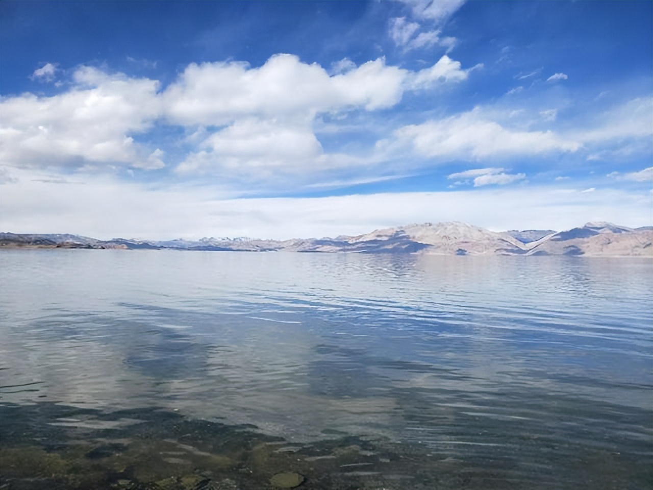 It is obviously the same lake, and the water plants are prosperous in ...