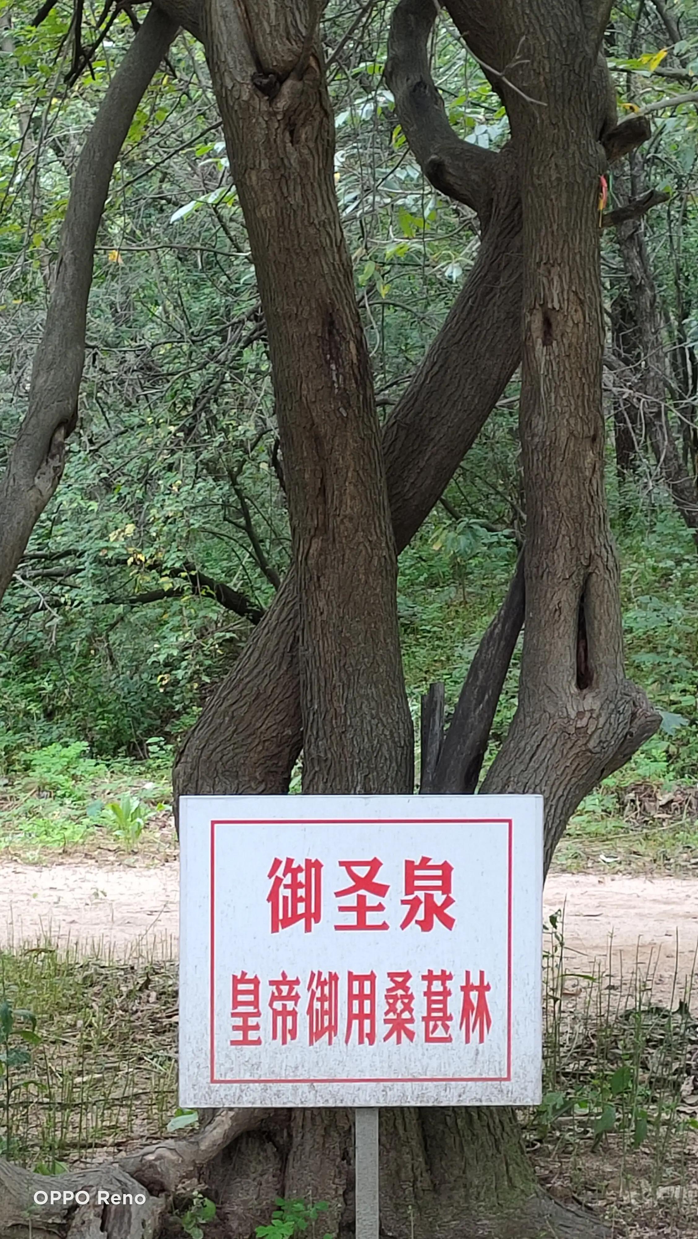 Exploring the source of the holy spring in Dongtang - iNEWS