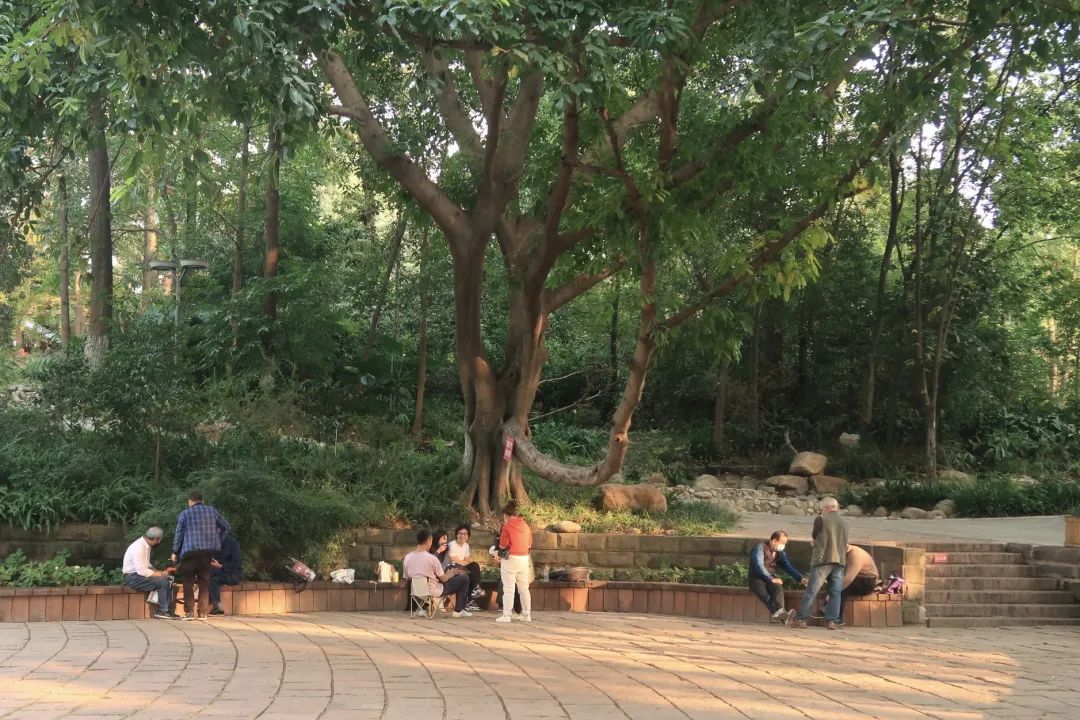 The first time I went to visit, the living water park that has been on ...