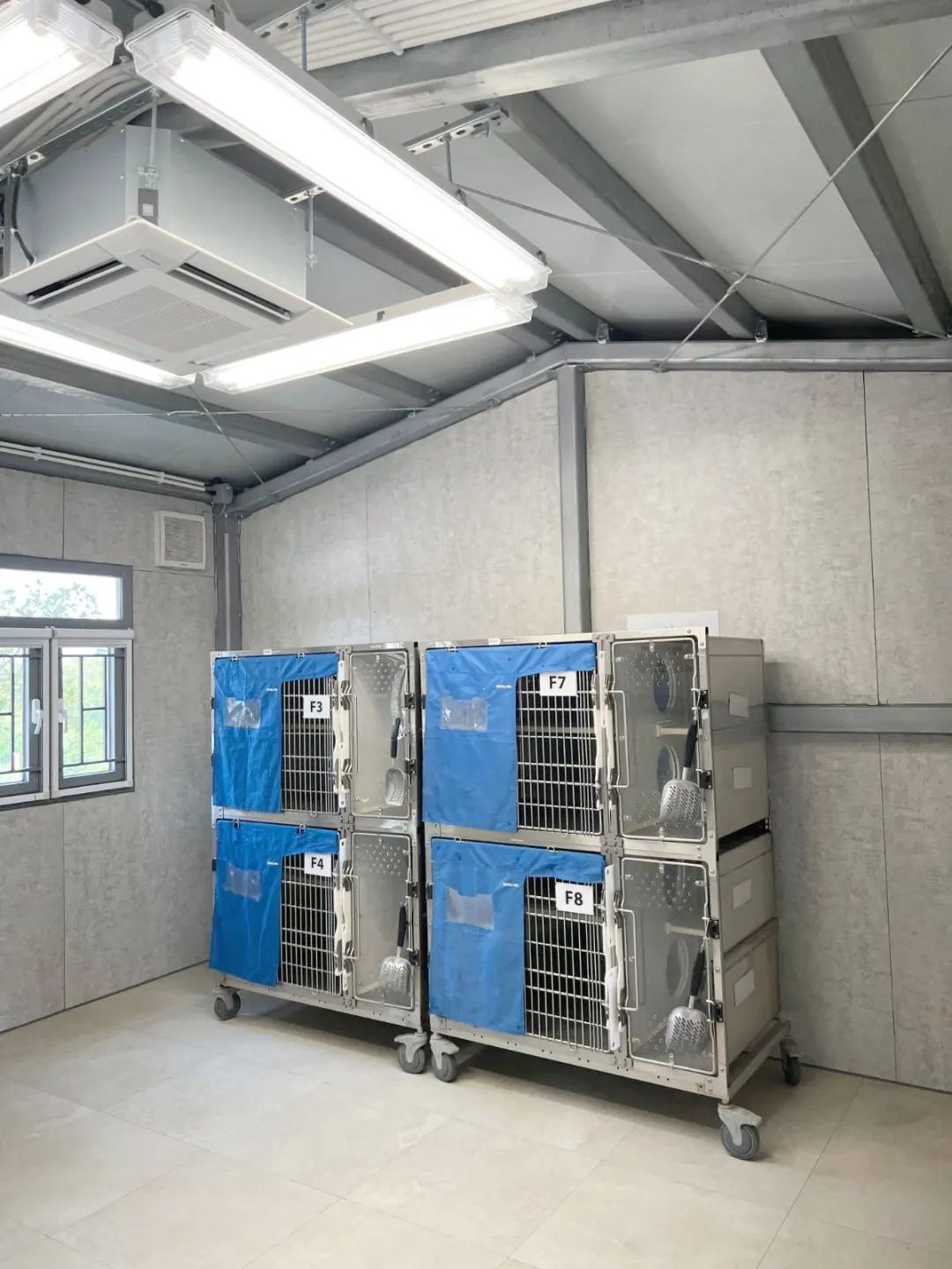 Optimizing the Coloane municipal kennels to increase the overall ...